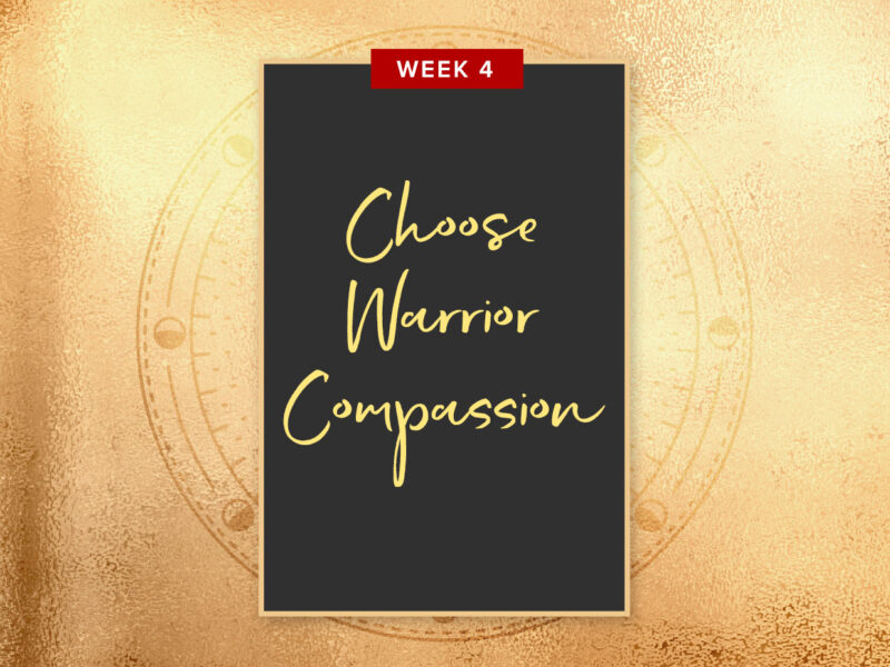 Spiritual Warrior Rise - Iyanla Vanzant